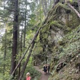 Silver Falls Loop, Washington - 3,513 Reviews, Map | AllTrails