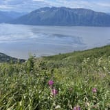 Bird Ridge Trail, Alaska - 1,149 Reviews, Map | AllTrails