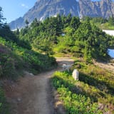 Sahale Arm Trail to Sahale Mountain, Washington - 345 Reviews, Map ...