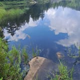 Crane Mountain Loop Hike, New York - 1,396 Reviews, Map | AllTrails