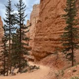 Navajo Loop Trail, Utah - 4,763 Reviews, Map | AllTrails