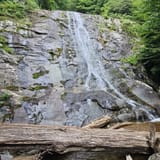 Whiteoak Canyon and Cedar Run Trail Loop, Virginia - 2,861 Reviews, Map ...