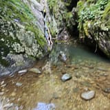 Whiteoak Canyon and Cedar Run Trail Loop, Virginia - 2,882 Reviews, Map ...