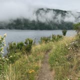Coldwater Lake via Lakes Trail, Washington - 889 Reviews, Map | AllTrails
