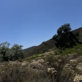 Barbara's Lake Loop Trail, California - 929 Reviews, Map | AllTrails