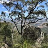 Mount Larcom Walking Trail, Queensland, Australia - 253 Reviews, Map ...