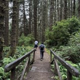 Fern Canyon Loop, California - 3,784 Reviews, Map | AllTrails