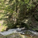 Ravenna Gorge Trail, Baden-Wuerttemberg, Germany - 370 Reviews, Map ...