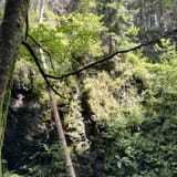 Ravenna Gorge Trail, Baden-Wuerttemberg, Germany - 370 Reviews, Map ...