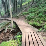Skippack Creek Loop Trail, Pennsylvania - 4,003 Reviews, Map | AllTrails