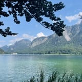 Alpsee Loop, Bavaria, Germany - 290 Reviews, Map | AllTrails