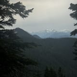Johnson Ridge Trail, Washington - 291 Reviews, Map | AllTrails