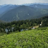 Johnson Ridge Trail, Washington - 291 Reviews, Map | AllTrails