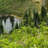 Johnson Ridge Trail, Washington - 291 Reviews, Map | AllTrails