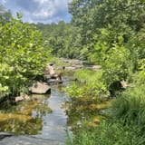 High Rocks, Pennsylvania - 3,406 Reviews, Map | AllTrails