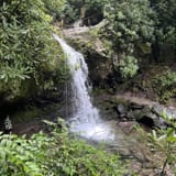 Grotto Falls via Trillium Gap Trail, Tennessee - 6,774 Reviews, Map ...