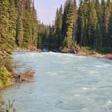 Numa Falls, British Columbia, Canada - 352 Reviews, Map | AllTrails