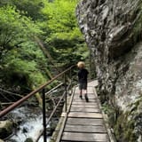 Ravenna Gorge Trail, Baden-Wuerttemberg, Germany - 370 Reviews, Map ...