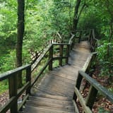 Raven Rock Loop Trail, North Carolina - 2,689 Reviews, Map | AllTrails