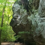 Raven Rock Loop Trail, North Carolina - 2,661 Reviews, Map | AllTrails