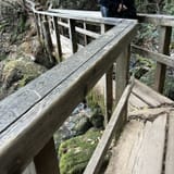 Cataract Falls Trail, California - 3,982 Reviews, Map | AllTrails