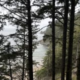 Cape Falcon Trail, Oregon - 4,185 Reviews, Map | AllTrails