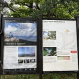 Hawksbill Loop Trail, Virginia - 4,765 Reviews, Map | AllTrails