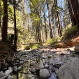 Ritchey Canyon Trail and Coyote Peak, California - 1,081 Reviews, Map ...