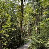 Whatcom Creek Trail Loop, Washington - 2,264 Reviews, Map | AllTrails