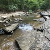 Tanyard Perimeter Loop, Arkansas - 3,081 Reviews, Map | AllTrails