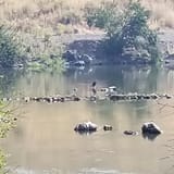 Link River Trail, Oregon - 559 Reviews, Map | AllTrails