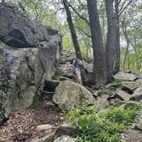 Reeves Brook Loop Trail, New York - 4,832 Reviews, Map | AllTrails