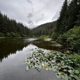 Two Lakes Trail, Alaska - 567 Reviews, Map | AllTrails