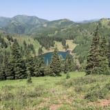 Wasatch Crest Trail, Utah - 363 Reviews, Map | AllTrails