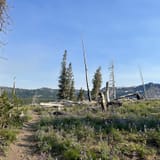 Broken Top Loop, Oregon - 282 Reviews, Map | AllTrails