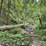 Lower Macleay Park to Pittock Mansion, Oregon - 4,582 Reviews, Map ...