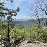 Signal Knob Loop Trail, Virginia - 1,066 Reviews, Map | AllTrails
