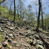 Signal Knob Loop Trail, Virginia - 1,066 Reviews, Map | AllTrails