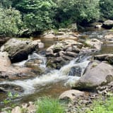 Laurel Run Trail, Tennessee - 715 Reviews, Map | AllTrails