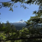 Dog River Trail, Oregon - 252 Reviews, Map | AllTrails