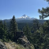 Dog River Trail, Oregon - 252 Reviews, Map | AllTrails