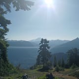 Mount Forgotten Meadows Trail, Washington - 353 Reviews, Map | AllTrails