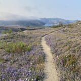 Loowit Falls Trail, Washington - 320 Reviews, Map | AllTrails