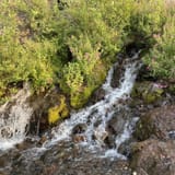 Loowit Falls Trail, Washington - 320 Reviews, Map | AllTrails