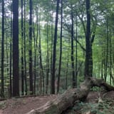 Provin Park Trail, Michigan - 826 Reviews, Map | AllTrails