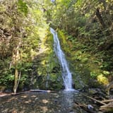 Madison Falls Trail, Washington - 1,914 Reviews, Map | AllTrails