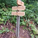 Appalachian Trail: Woody Gap to Neel Gap, Georgia - 556 Reviews, Map ...