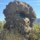 Ocean Overlook Loop, California - 1,003 Reviews, Map | AllTrails