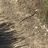 Ocean Overlook Loop, California - 1,003 Reviews, Map | AllTrails