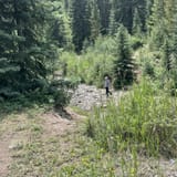 Officers Gulch, Colorado - 782 Reviews, Map | AllTrails